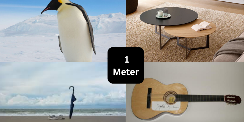 11 Things That Are About 1 Meter (m) Long