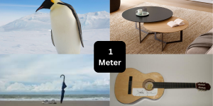 11 Things That Are About 1 Meter (m) Long