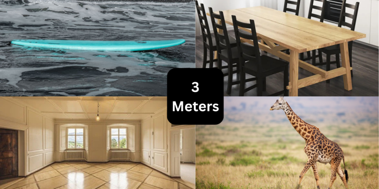 12 Common Things That Are 3 Meters Long