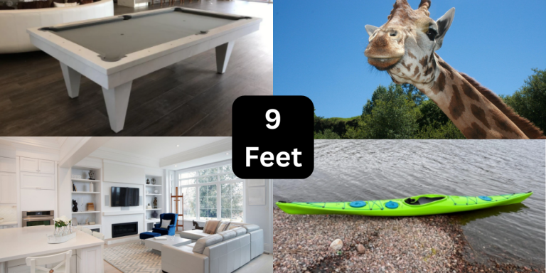13 Things That Are About 9 Feet (ft) Long