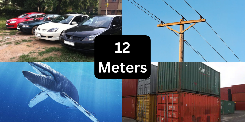 6 Things That Are About 12 Meters (m) Long