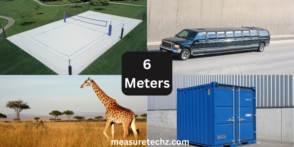 6 Things That Are About 6 Meters (m) Long