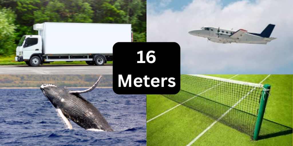 7 Things That Are About 16 Meters (m) Long