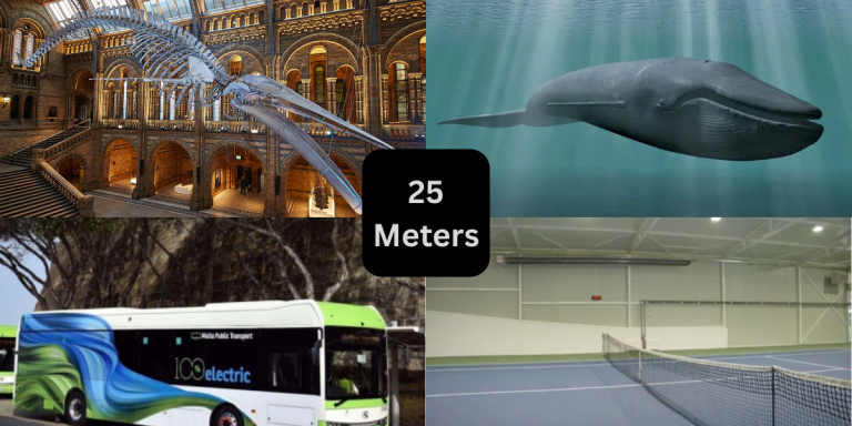 7 Things That Are About 25 Meters (m) Long