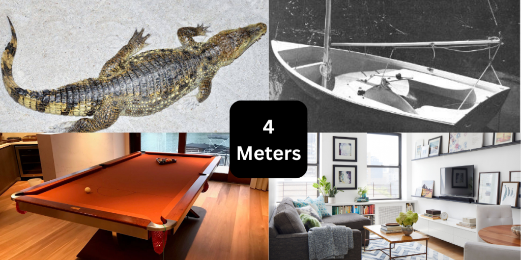 7 Things That Are About 4 Meters (m) Long