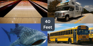 8 Things That Are 40 Feet Long