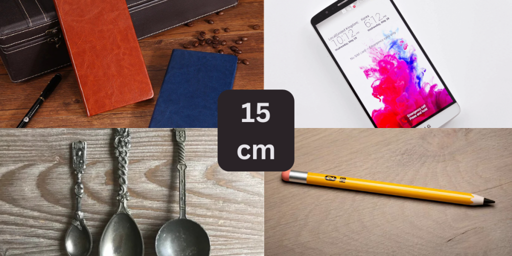 8 Things That Are About 15 Centimeters (cm) Long