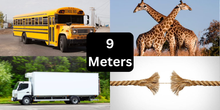8 Things That Are About 9 Meters (m) Long