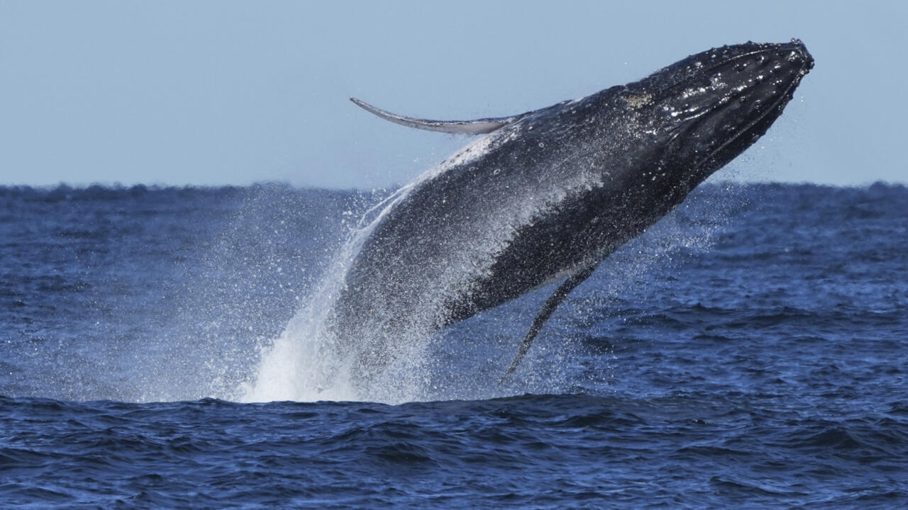 8 Things That Are About 70 Meters (m) Long