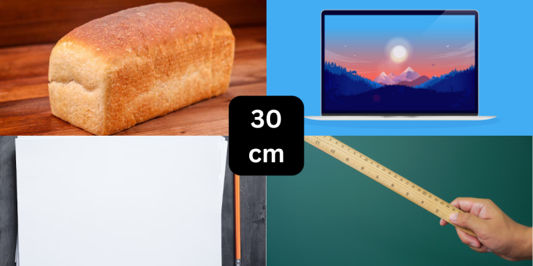 How Long Is 30 Centimeters? 10 Everyday Things That Are About 30 cm Long