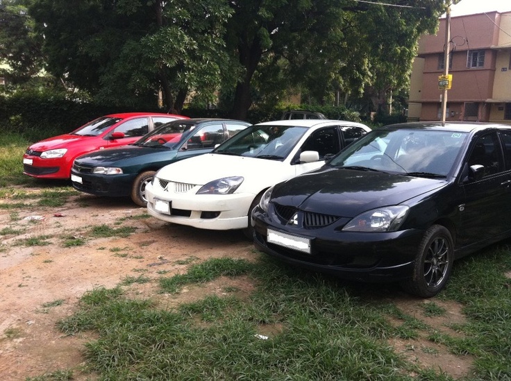 6 Things That Are About 12 Meters (m) Long