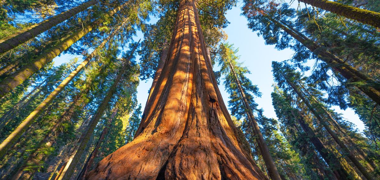 11 Things That Are About 400 Feet (ft) Long